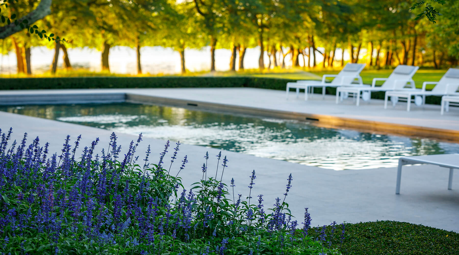 Sagg Pond - Landscape Details