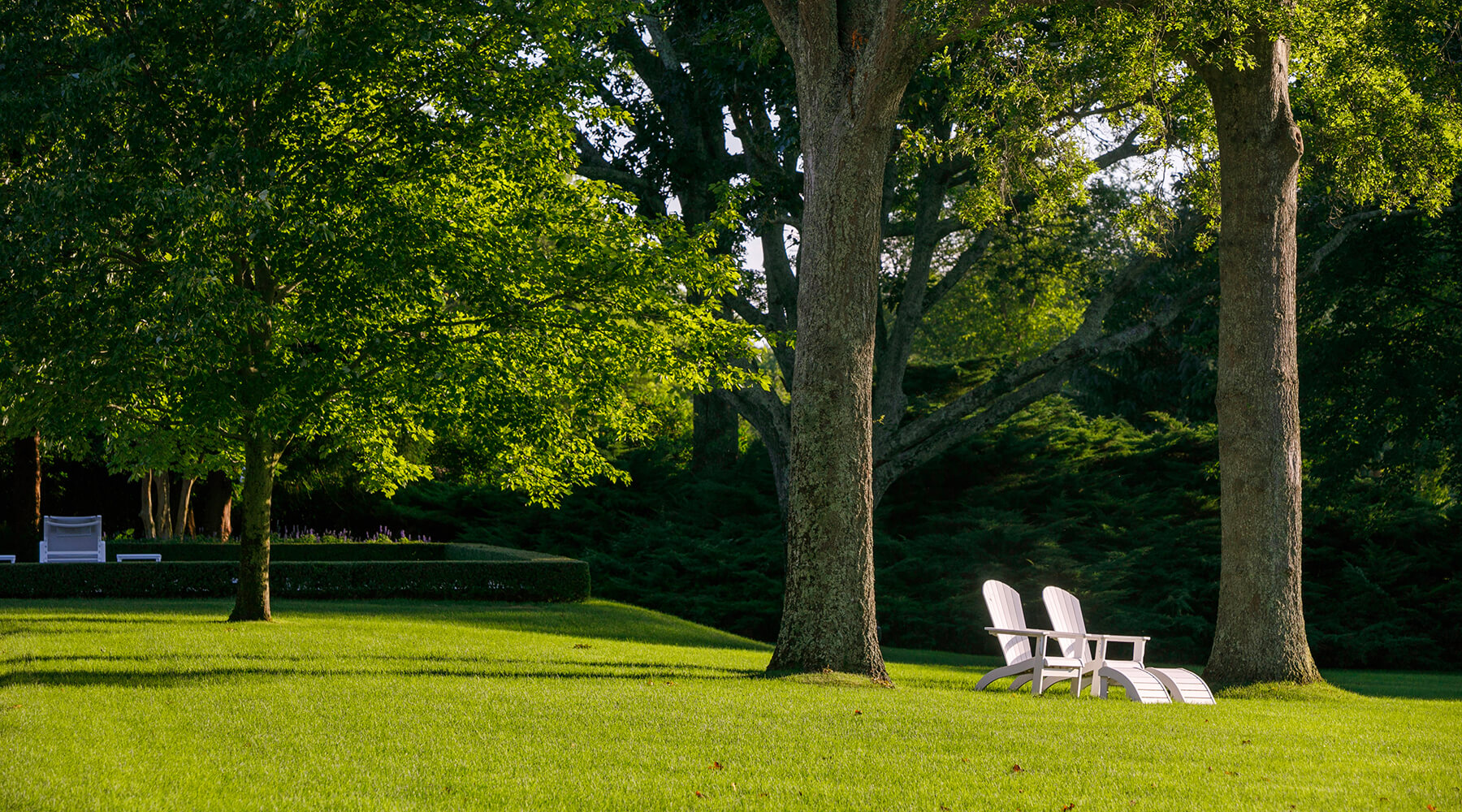 Sagg Pond - Landscape Details